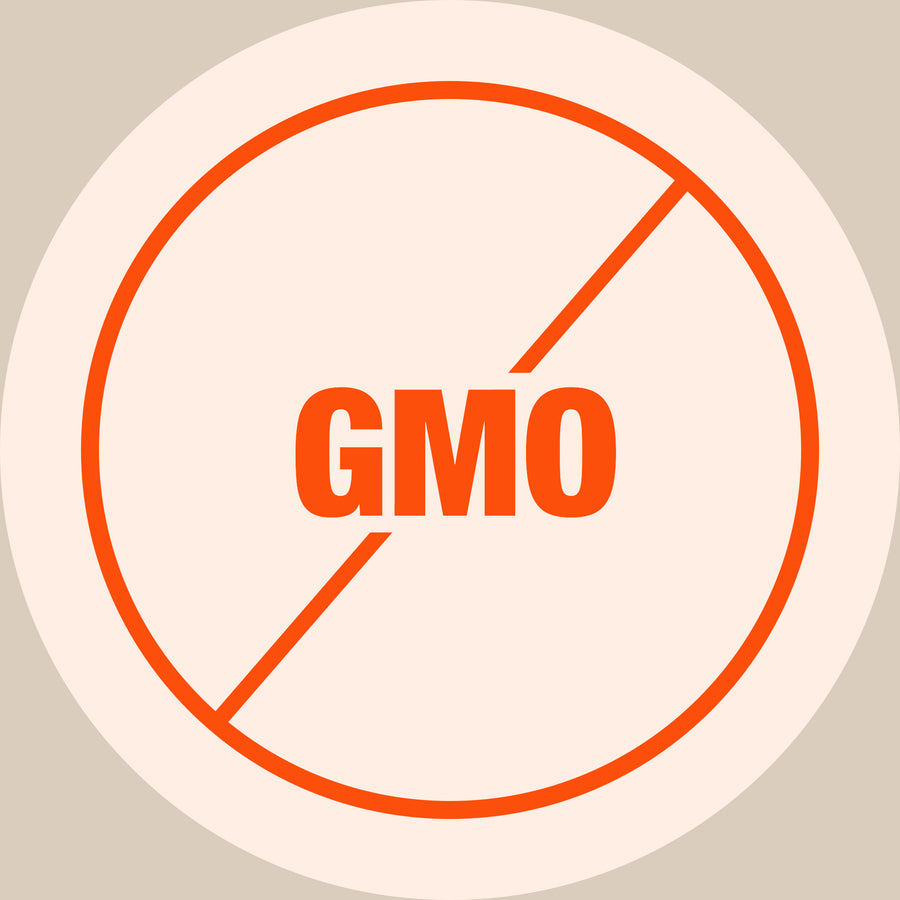 InVite Phase 2® Carb Controller | Weight Management Supplement – InVite ...