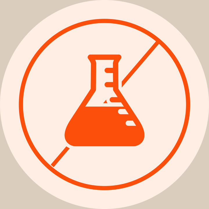 InVite Phase 2® Carb Controller | Weight Management Supplement – InVite ...